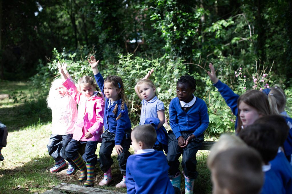 Home - Holly Primary School