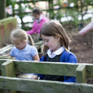 Home - Holly Primary School